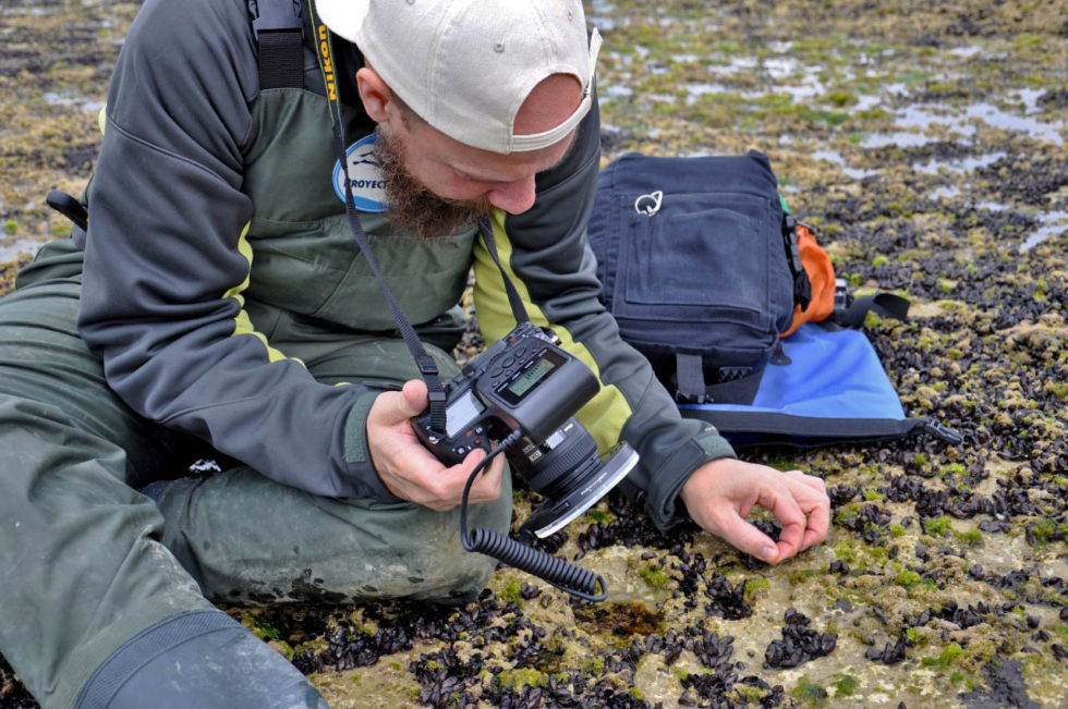 BIOTAX – EN | LARBIM